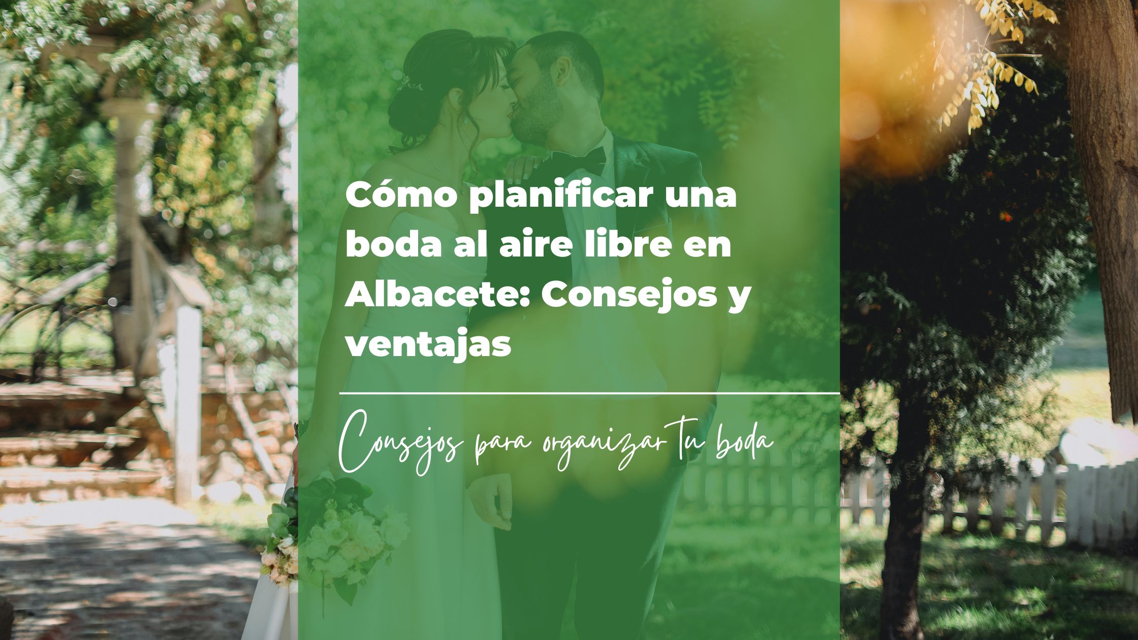 Cómo planificar una boda al aire libre en Albacete: Consejos y ventajas ...